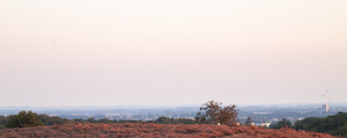 8x the best tips for the Veluwe region | Stayokay