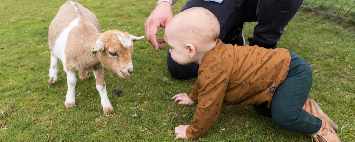 10x Fun outdoor activities for kids in the Netherlands | Stayokay ...