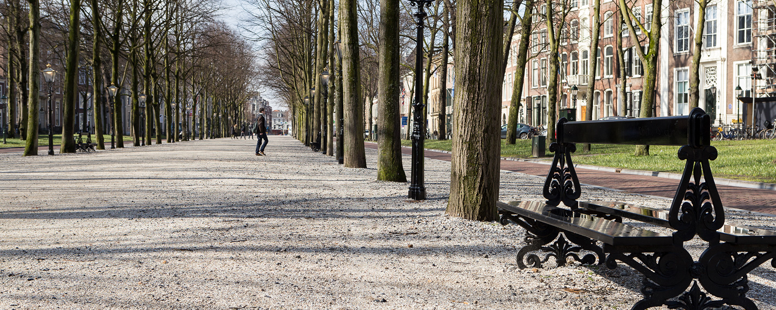 Lane of Lime Trees | Stayokay