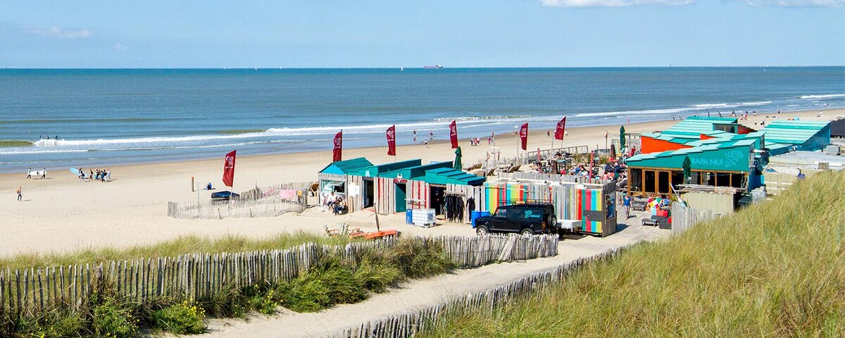 Surfing Lessons at Surfana @ Bloemendaal | Stayokay