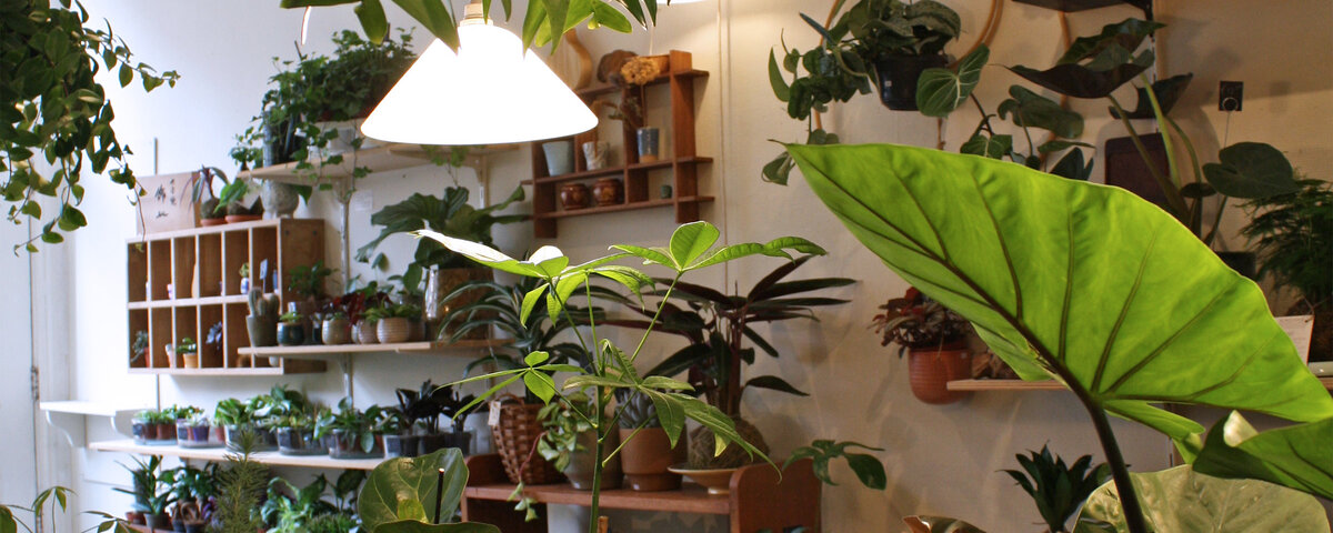 Little Green Shop: green, cosy & completely sustainable! | Stayokay ...