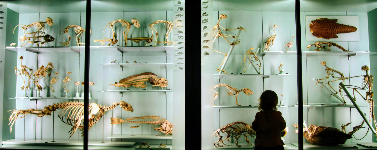 Pieter Vermeulen Museum: playing with nature! | Stayokay | Stayokay